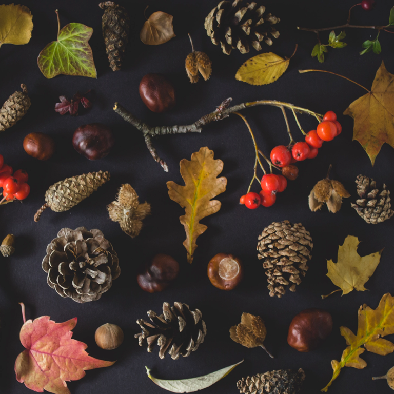 Fall Craft Ideas – Agee & Row
